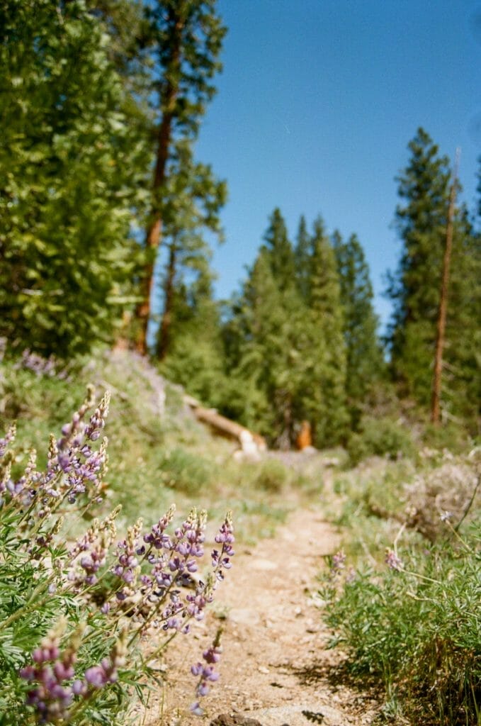 The Ultimate Guide to Backpacking the Hetch Hetchy Loop in 3 Days ...