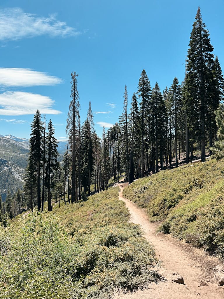 The Ultimate Glacier Point to Panorama Point Trail Guide